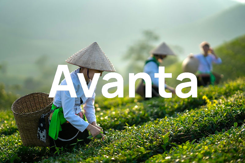 AVANTA HOLDINGS